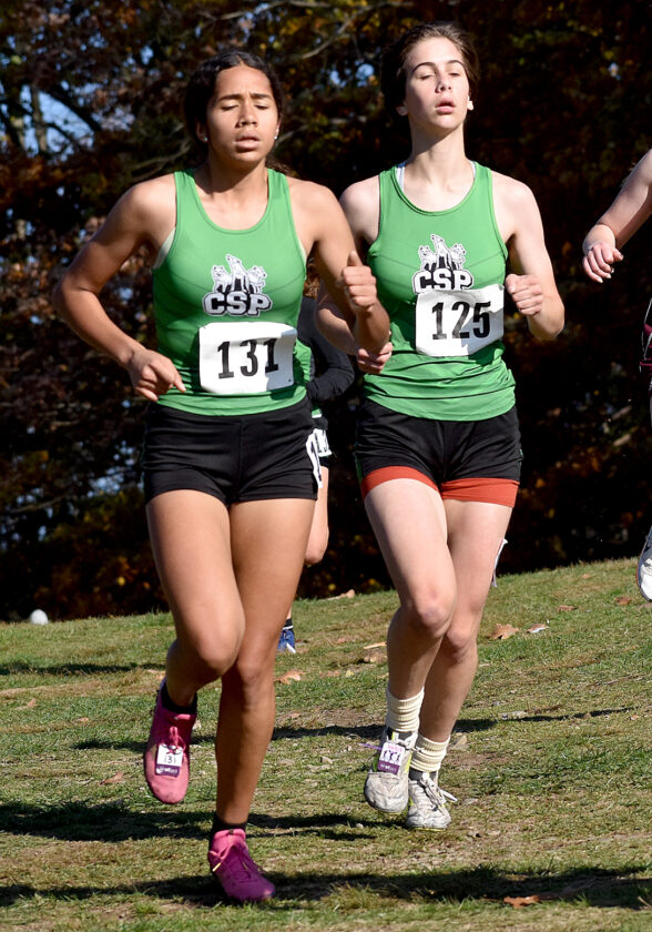 Several Locals Run To States | News, Sports, Jobs - Post Journal
